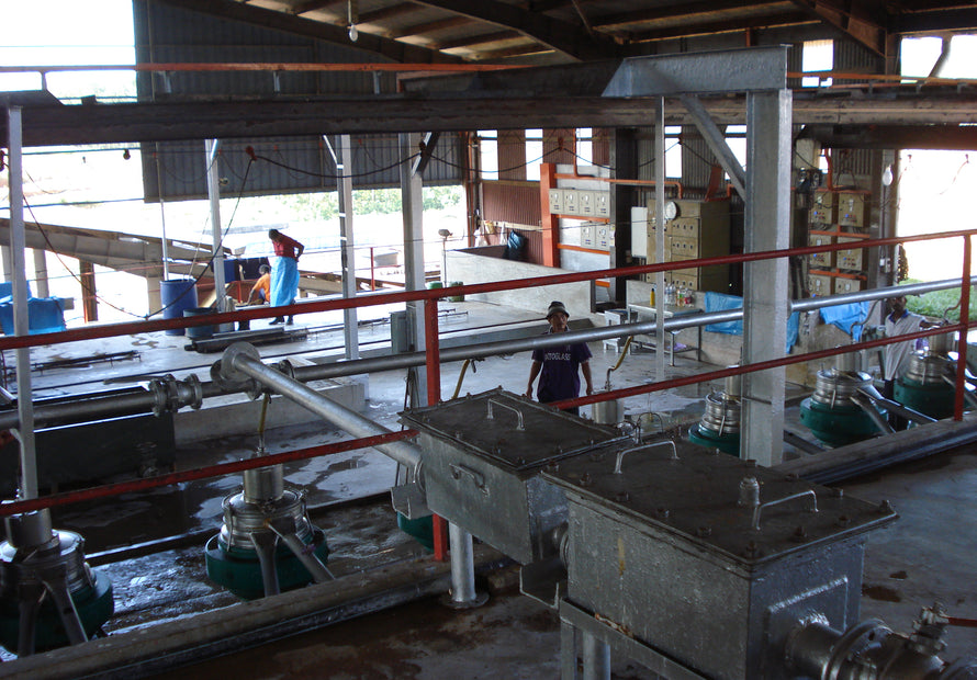 HEVEA: Natural Rubber Products for baby, pet, home, & personal hygiene ...