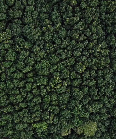 HEVEA: Natural Rubber Products for baby, pet, home, & personal hygiene ...